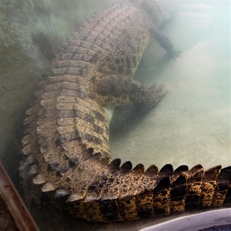 Mark Luyt Mark Luyt • Instagram Photos And Videos