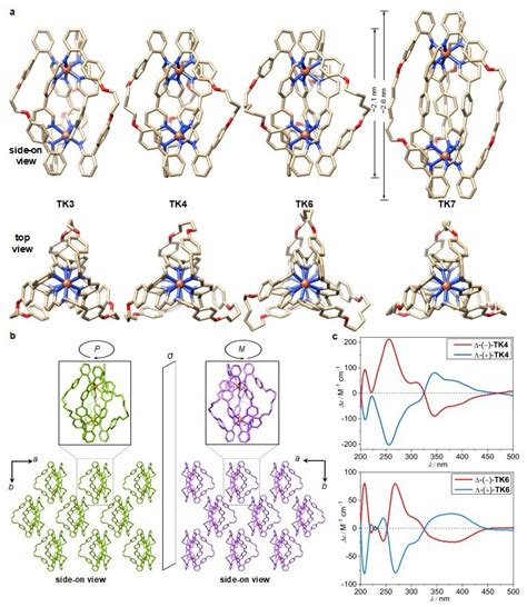 Nat Synth ｜西湖大学刘志常团队分子张力工程之五：用“力”纠“结”…… X Mol资讯