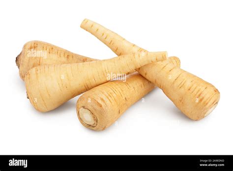 Parsnip Root Isolated On White Background Closeup Stock Photo Alamy