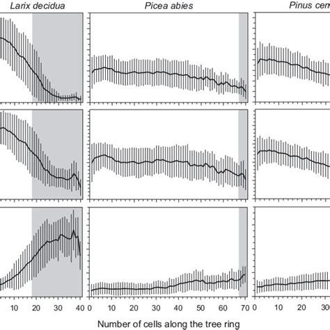 Cell lumen area µm 2 radial diameter µm and single wall thickness Download Scientific