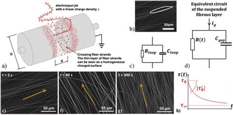 Model Taking Into Account Interacting Fiber Strands A Sketch Of The Download Scientific