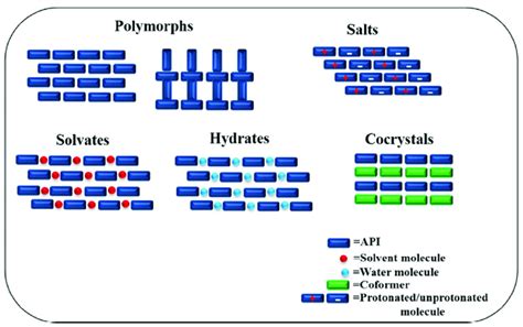 Illustration Of Different Forms Of Api 93 Download Scientific Diagram