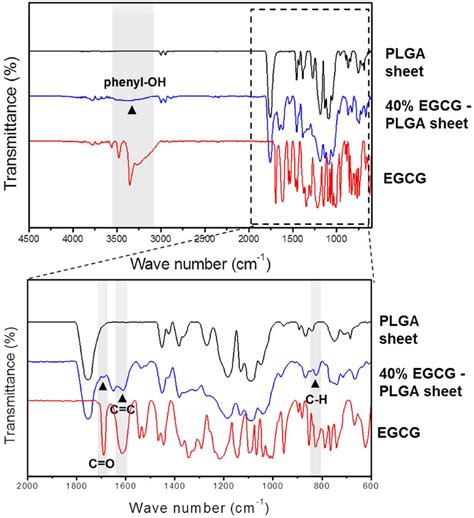 Ftir Spectra Of Plga Sheets Upper Line Egcg Eluting Plga Fibers