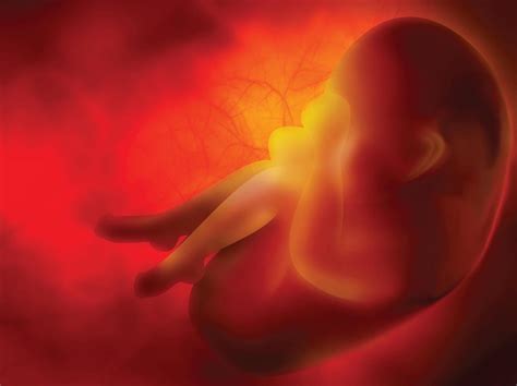 First Trimester Screening Jpmc Brunei