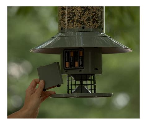 10 Timed Bird Feeders That Will Keep Your Feathered Friends Happy All Day Long Review And