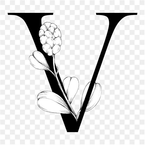 Floral Letter V Font Images Free Photos Png Stickers Wallpapers And Backgrounds Rawpixel