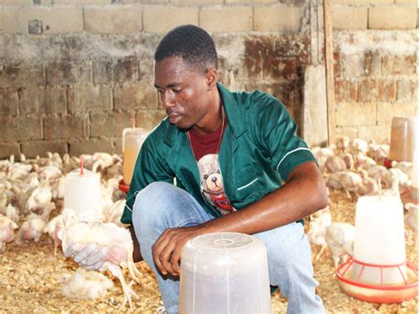 Cuib The Growth Mindset Entrepreneurial University