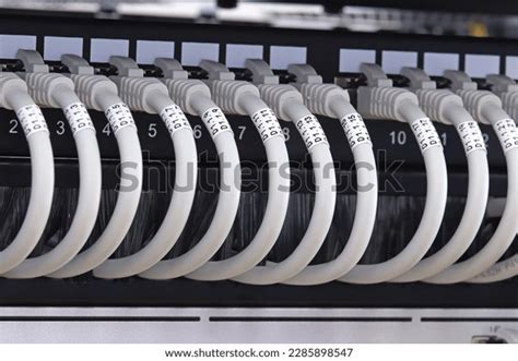 Ethernet Cable Rj Connector Connected Socket Stock Photo Shutterstock