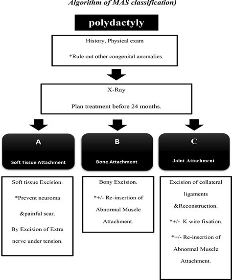 Polydactyly Mas Classification Plastic And Reconstructive Surgery Global Open