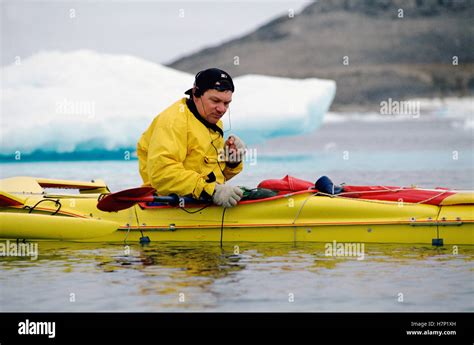 Bowhead Whale Balaena Mysticetus Researcher Kerry Finley Listening To Whales Isabella Bay