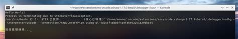 Error Process Is Terminating Due To StackOverflowException Occurs Every Time When A C