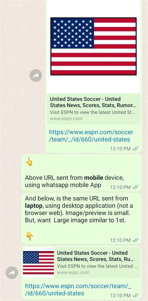 Automate Whatsapp Messaging With Large Preview Image Using Excel R