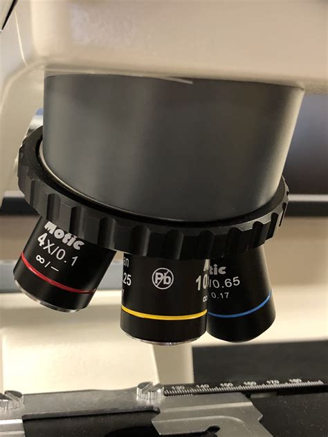 Microscope Objectives Function At Jennifer Marshall Blog