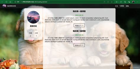 ssm项目前后端分离 idea运行环境（含前端源码）（个人博客系统） idea前端代码 csdn博客