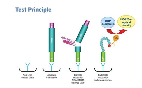 Discover Technozym Adamts13 Activity For Your Clinical Laboratory