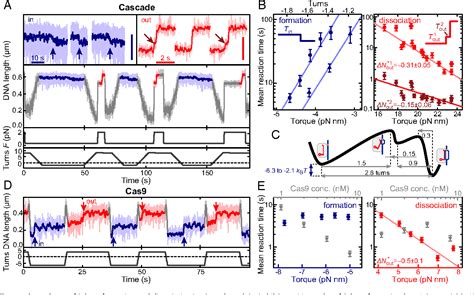 Figure From Direct Observation Of R Loop Formation By Single RNA Guided Cas And Cascade
