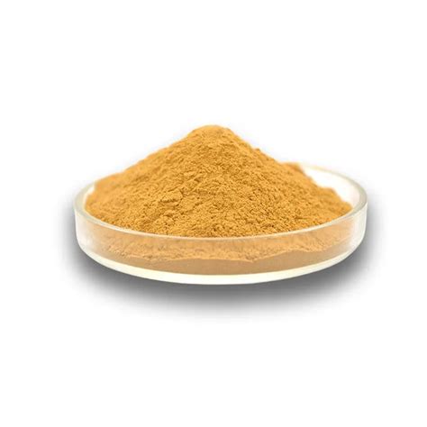 Two Basics Of Andrographis Paniculata Extract Powder Quality Potency And Purity