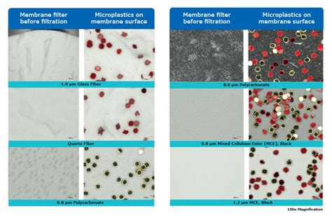 Thuy My Vo On Linkedin Membrane Filters For Microplastics Analysis