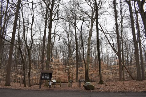 Big Woods Trail Hueston Woods State Park College Corner Ohio