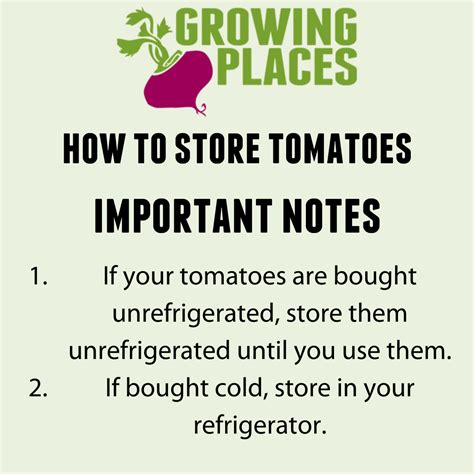 How To Store Tomatoes Important Tips