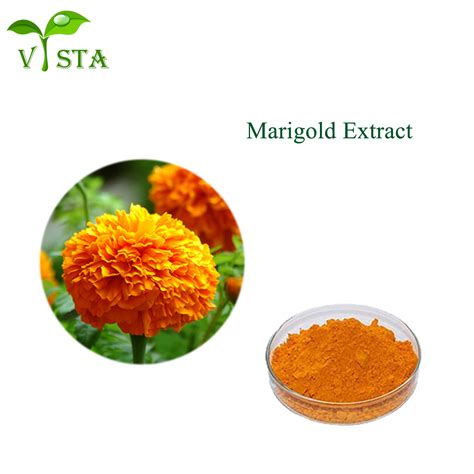 100 Natural Factory Supply Marigold Flower Extract Lutein Zeaxanthin