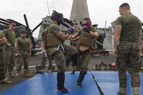 Line And Mcmap The Martial Arts Of The Us Marine Corps Fightland