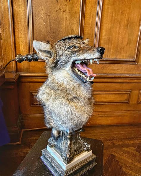 Vivian Food And Travel On Instagram Stranger Things To Occur • 10th