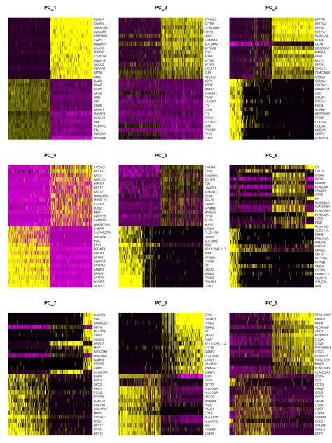 Genomics At Superresolution Mapping Drug Targets On Single Cell Resolution In Fibrosis Serdar