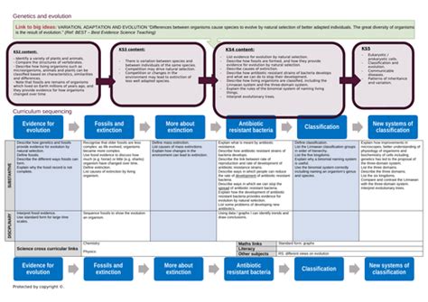 Ks4 Genetics And Evolution Curriculum Framework Teaching Resources