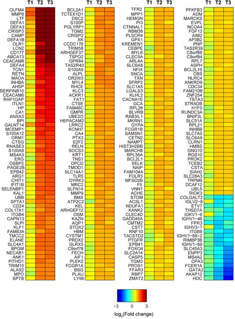 Heatmap Showing Temporal Trends In Expression Among Genes With
