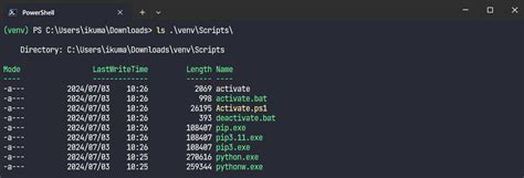 Pythonの仮想環境venvとは初心者のための完全ガイド パイソンエンジニア部