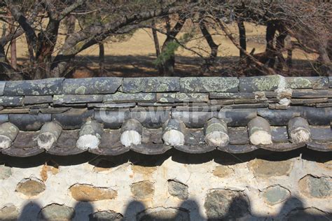 담 돌담 한옥 전통 기와 사진 이미지 일러스트 캘리그라피 Nyjg00230작가