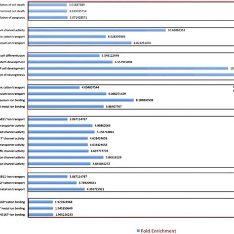 Functional Annotation Clustering Of Neuronal Specific Differentially Download Scientific