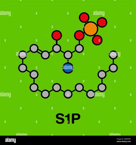 Sphingosine Structure Solved A Sphingosine Structure Is Hn He Ch Hc N