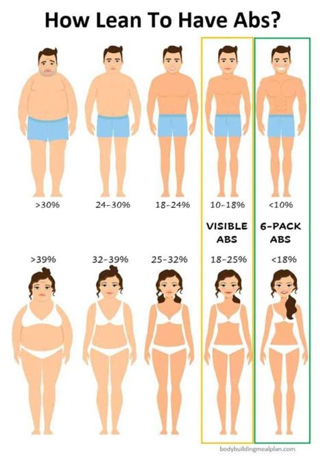 How Long Does It Take To Get Abs Calculator For Men And Women