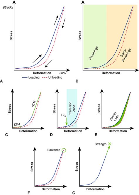 A Typical Loading And Unloading Curves For Aortic Aneurysm Tissue B