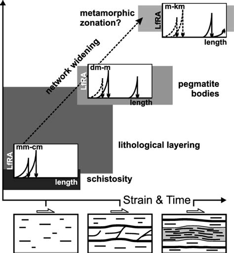 Conceptual Model For The Evolution Of Shear Zone Scale With Bulk