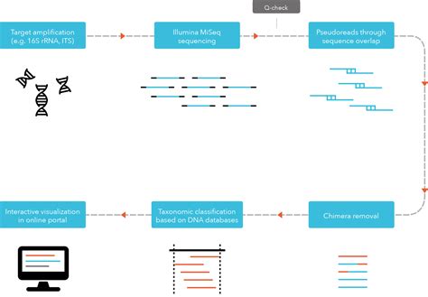 Dna Profiling Flow Chart Ponasa