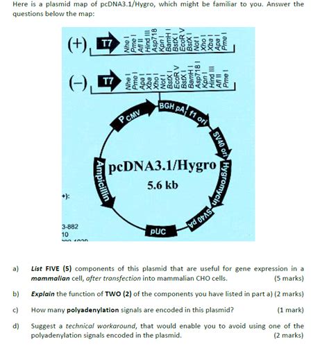 Solved Here Is A Plasmid Map Of Pcdna31hygro Which Might