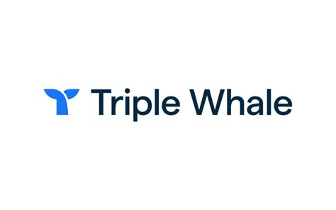 Triple Whale Review Features Pricing And Alternatives