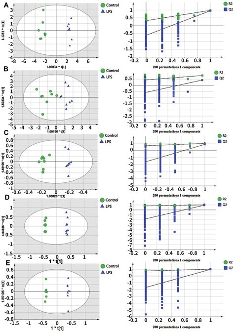 Orthogonal Projections To The Latent Structures Opls Scores And 200 Download Scientific