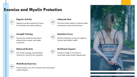 Exercise And Myelin Protection Myelin Health Ppt Information Acp Ppt Template
