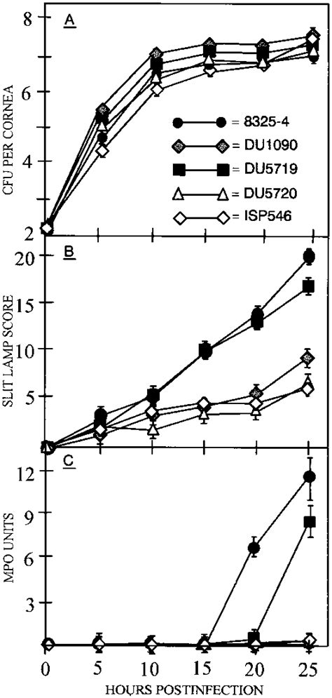 Effect Of Alpha Toxin Or Beta Toxin Deficiency On S Aureus Corneal Download Scientific Diagram