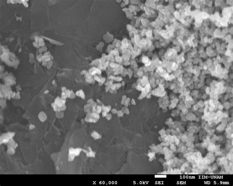 Sem Image Of Hematite Nanoparticles α Fe 2 O 3 Sample M−ii After Download Scientific Diagram