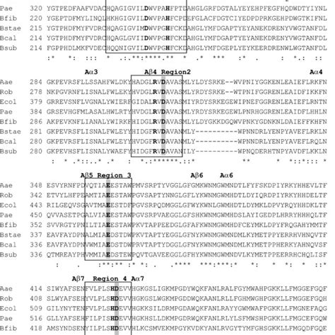Partial Amino Acid Sequence Alignment Of Various Bacterial Glucan Download Scientific Diagram