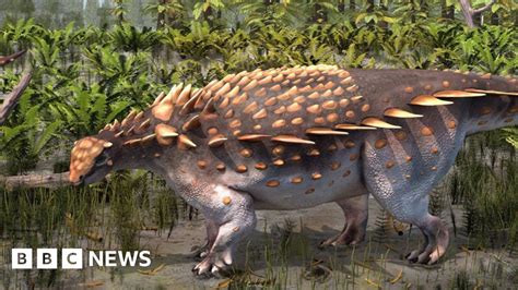 Isle Of Wight New Dinosaur Species Discovered Bbc News