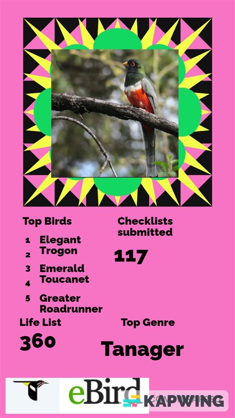 2022 Bird Slut
