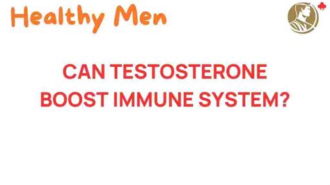 Can Testosterone Boost Your Immune System Unveiling The Connection