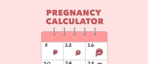 Baby Birth Date Calculator Vpryte