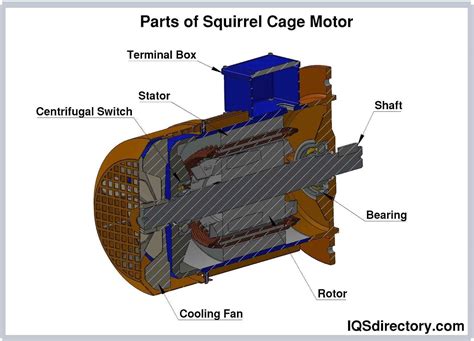 Squirrel Cage Induction Motor Wiring Diagram And Working Principle